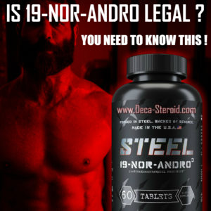 19 Nor Andro | Nandrolone Precursor | Steel Supplements